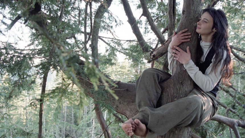 La storia di Julia Butterfly Hill: visse più di 2 anni su una sequoia ...