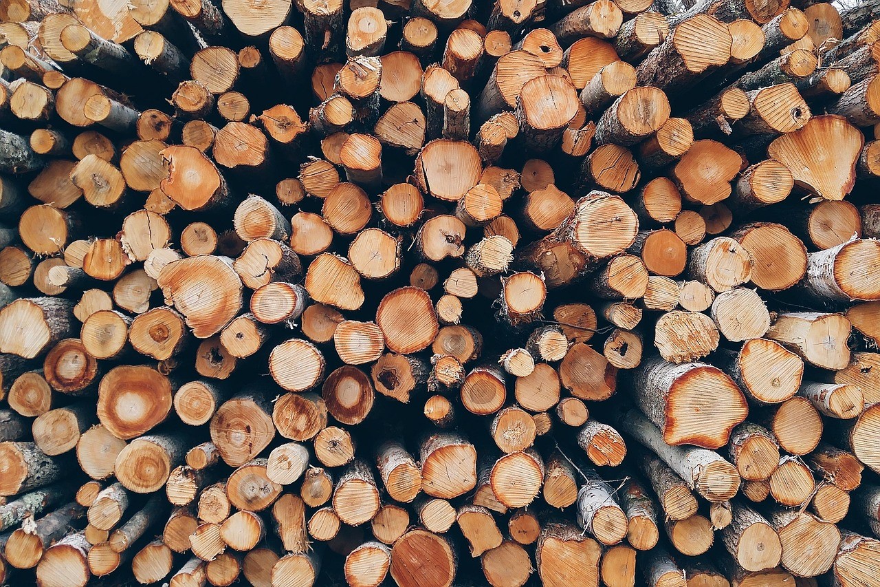 Il legno trasparente: la rivoluzione dei materiali sostenibili - Icona ...