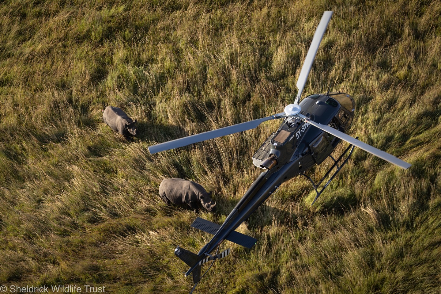 Nella savana del Kenya Taru e Roan Carr-Hartley decollano per tutelare ...